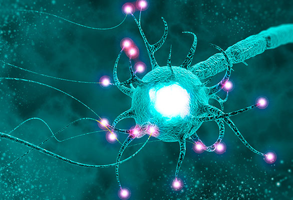 Optimised Health & Cell Stimulation - LCC Hospital